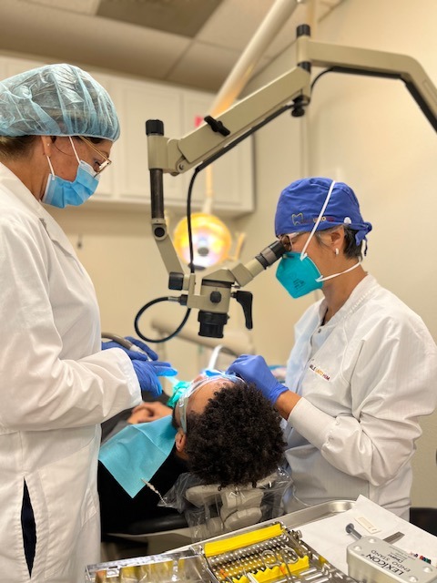 Meet the 2024 Domestic Access to Care Grant Awardees - AAE Foundation for Endodontics