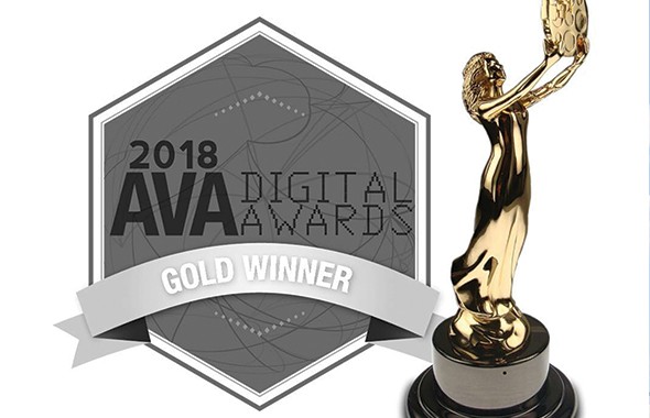 Newly Redesigned AAE Website Takes Gold in AVA Digital Awards ...