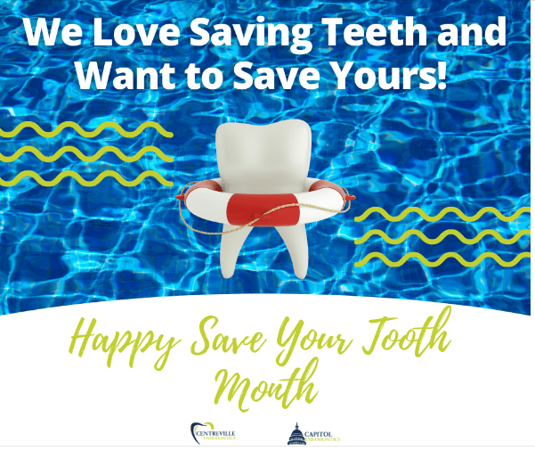 Getting to Know Our Newest Class of Save Your Tooth Month Social Media ...