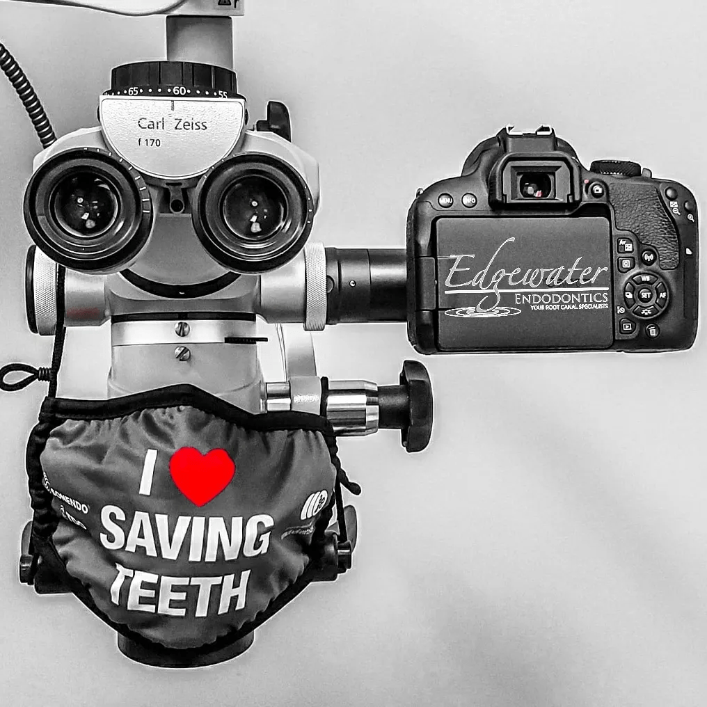 EWE_I-love-saving-teeth - American Association of Endodontists