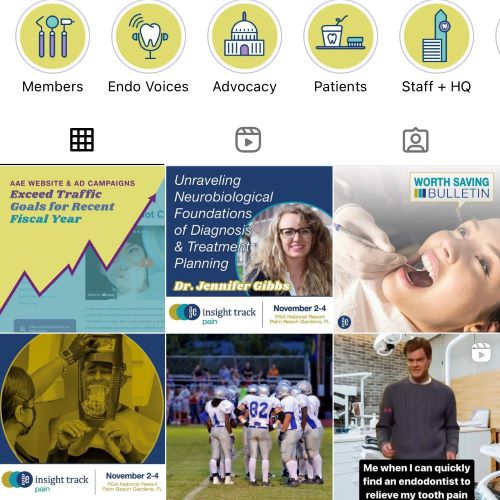 AAE's Vibrant New Social Media Strategy - American Association of ...