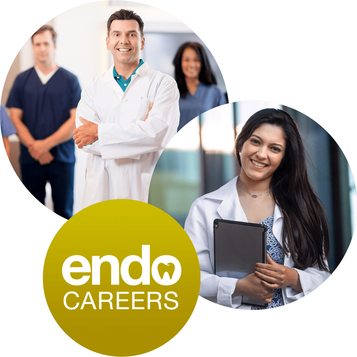 Endo Careers Knowledge Center - American Association of Endodontists