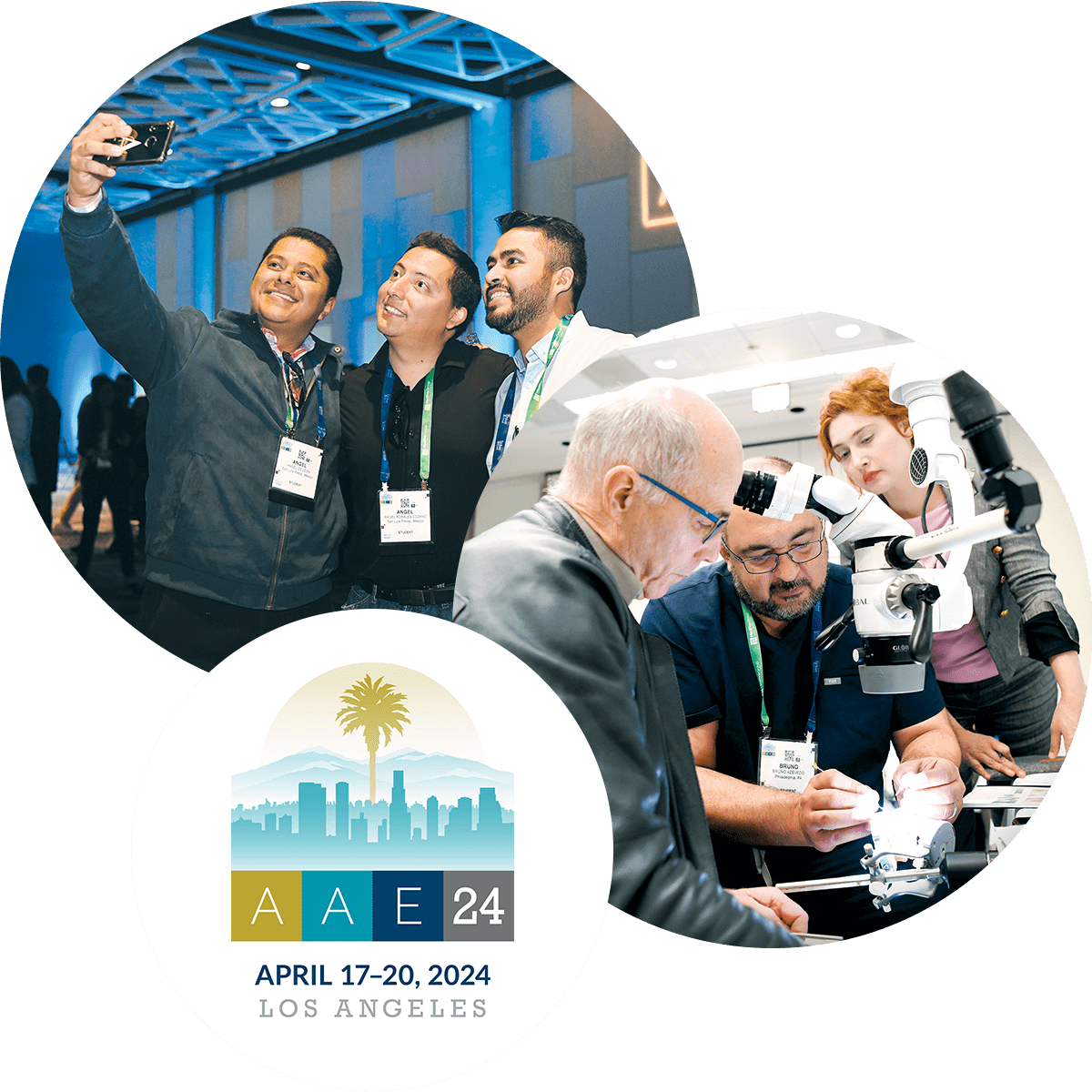 3Circles_AAE24_v2 - American Association of Endodontists