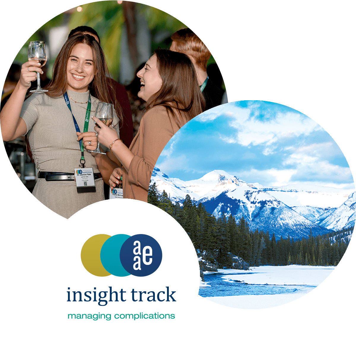 3Circles_IT24_v2 - American Association of Endodontists