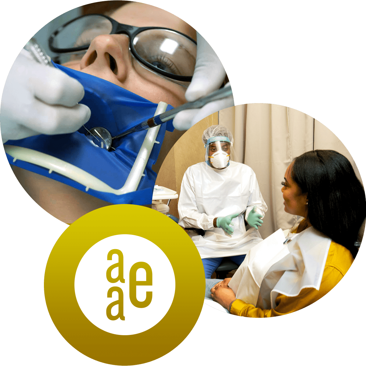 3Circles_Clinical - American Association of Endodontists